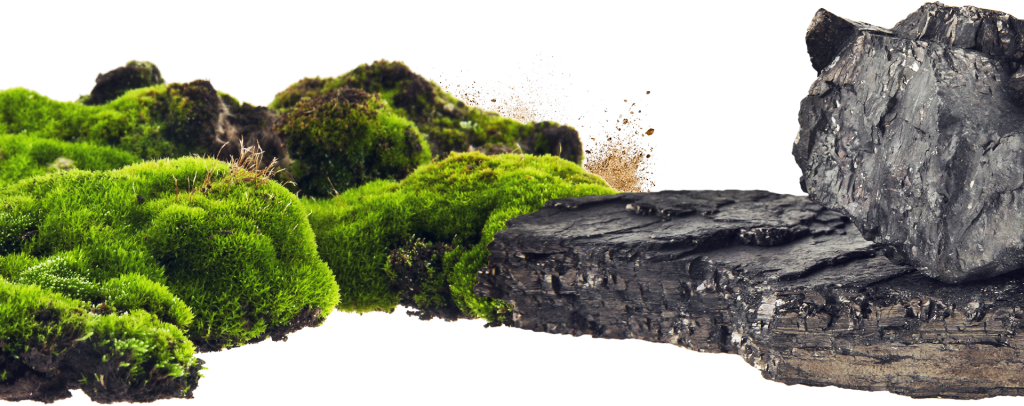 Contact - Garden of Seeden